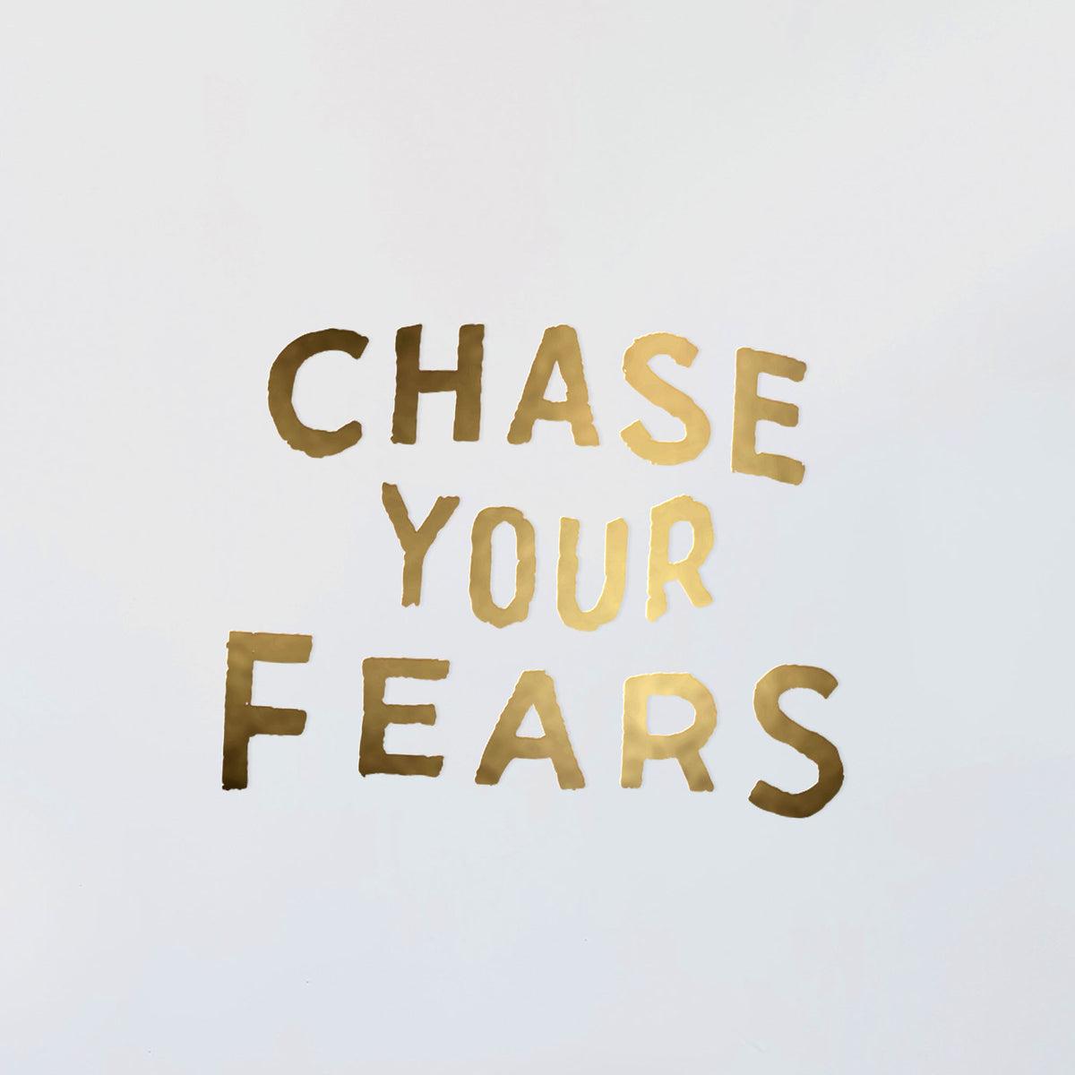 Chase Your Fears Decal – Go Fast Don't Die